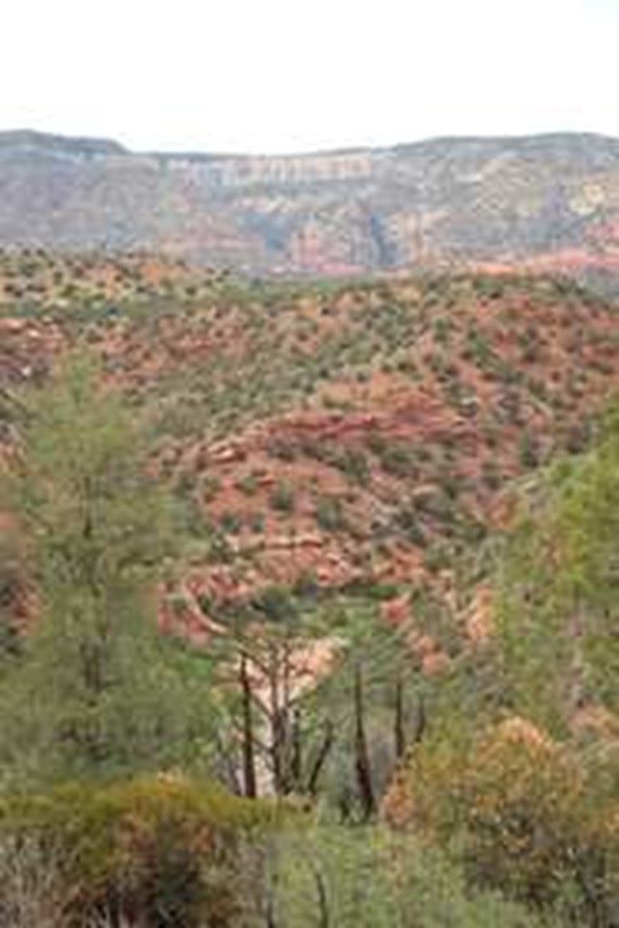 Thomas Cureton (1875-1957) of Williams, AZ - Grand Canyon Guide